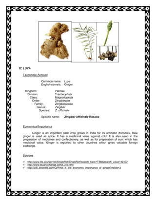 Taxonomy of "Bahay Kubo" plants | DOCX