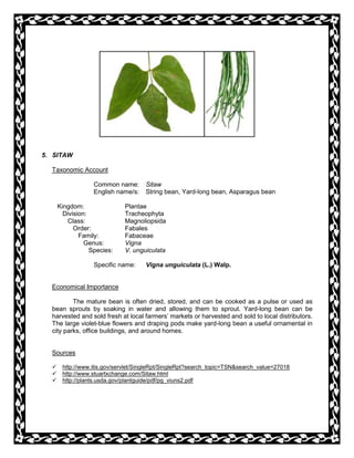 Taxonomy of "Bahay Kubo" plants | DOCX
