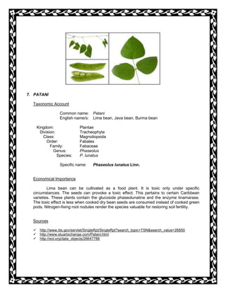 Taxonomy of "Bahay Kubo" plants | DOCX | Agriculture | Industries