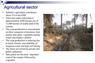 Bahrain | PDF