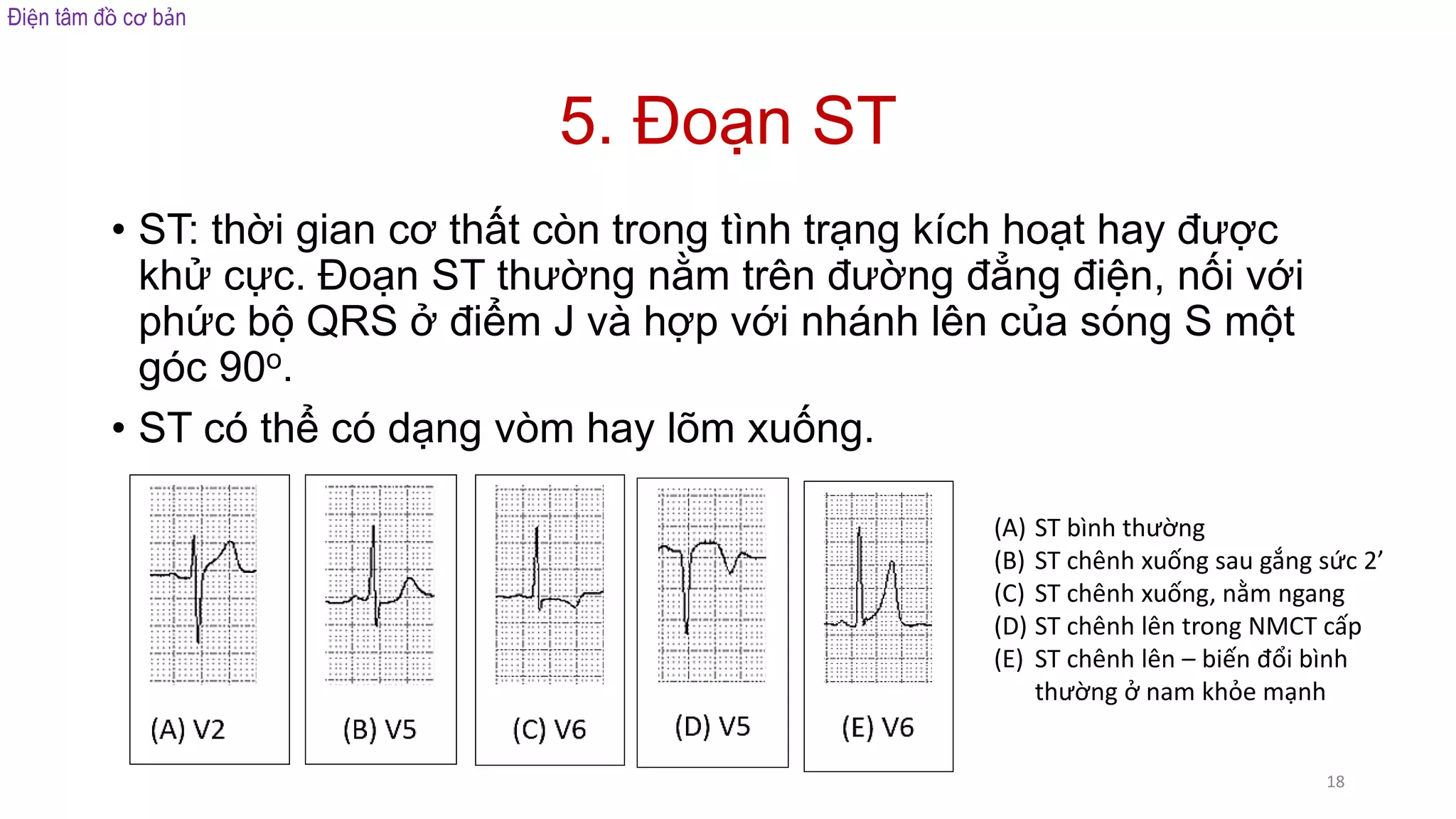 Bai 1-khai-niem-co-ban-ecg-pham-nguyen-vinh | PDF