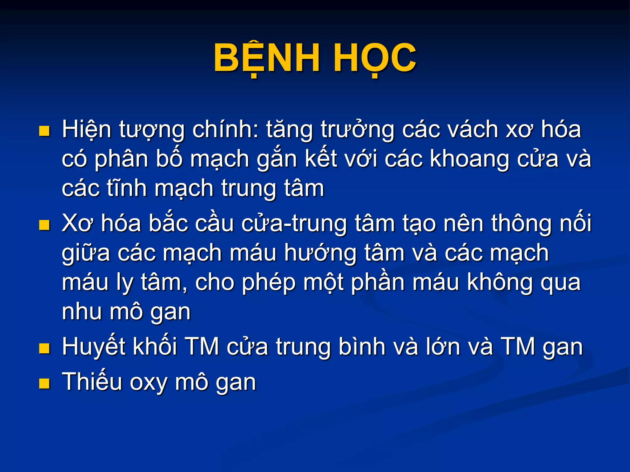 bai-giang-benh-ly-xo-gan.pdf