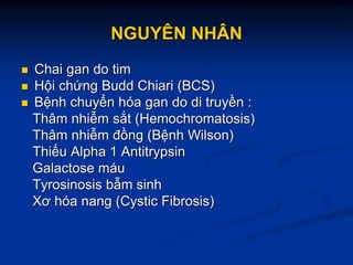 bai-giang-benh-ly-xo-gan.pdf