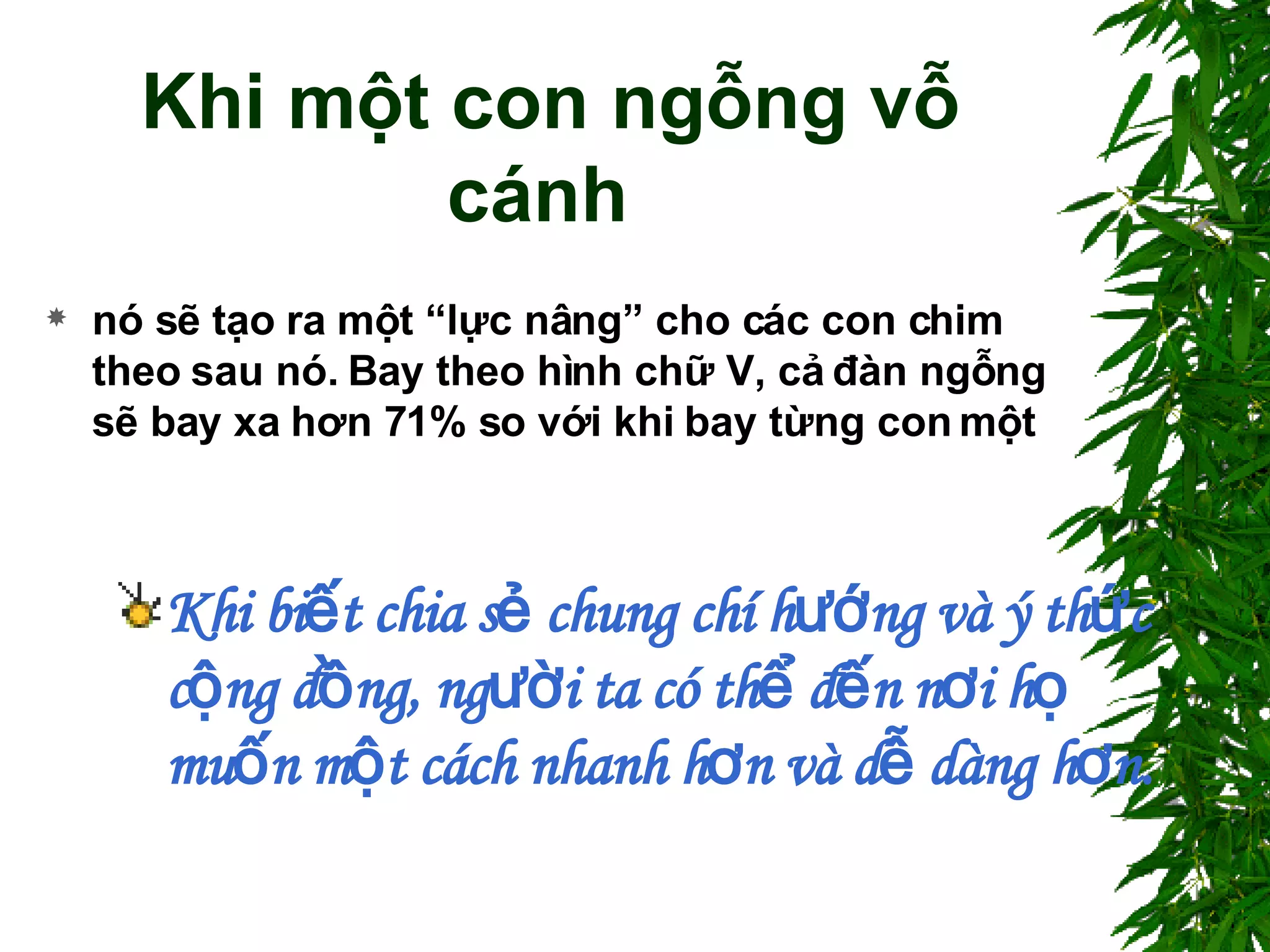 Bai Hoc Tu Nhung Con Ngong | PPT
