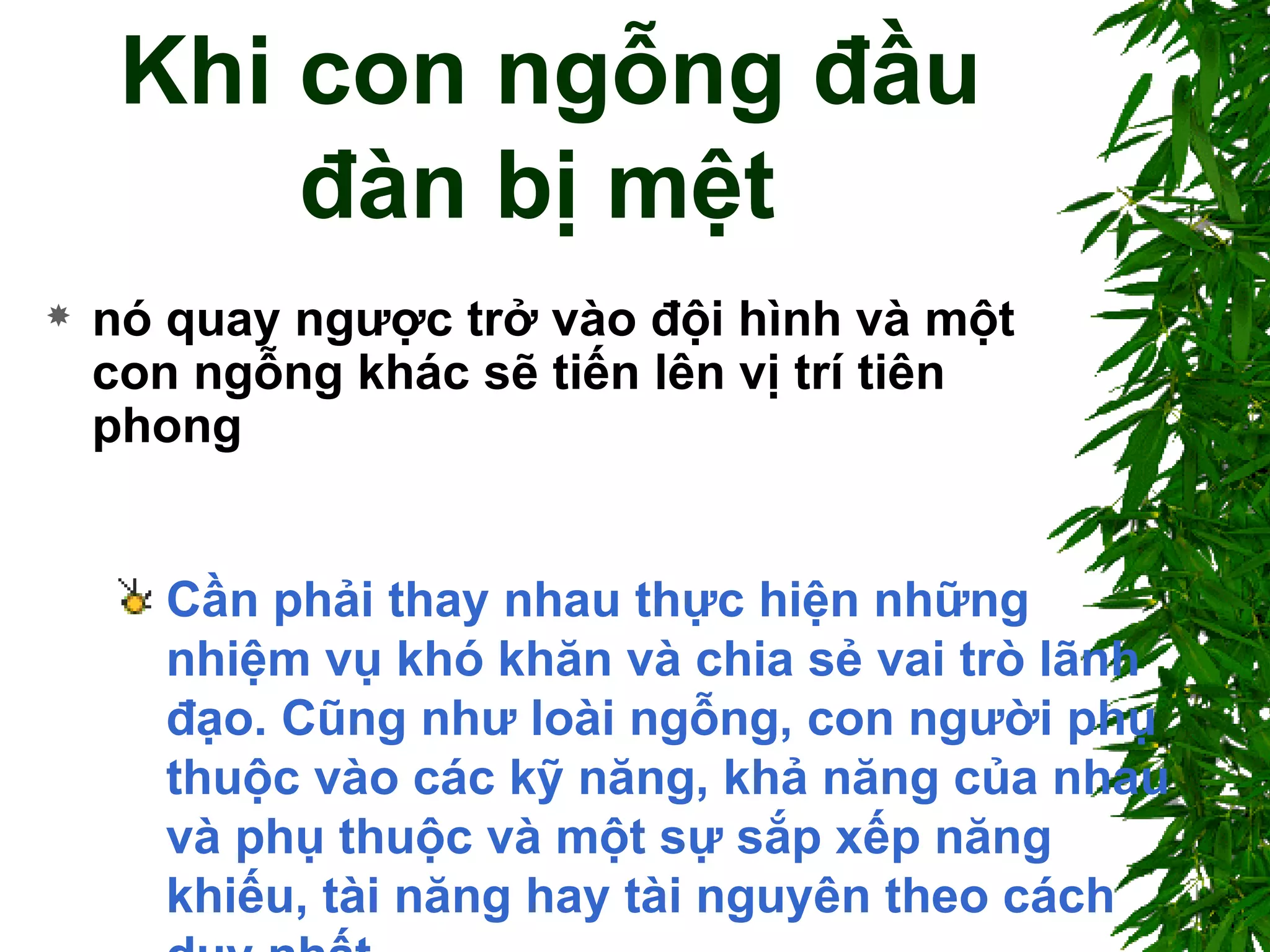 Bai Hoc Tu Nhung Con Ngong | PPT