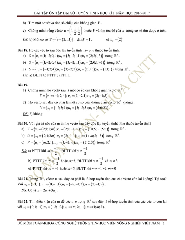 Bai tap-dai-so-tuyen-tinh-co-giai | PDF