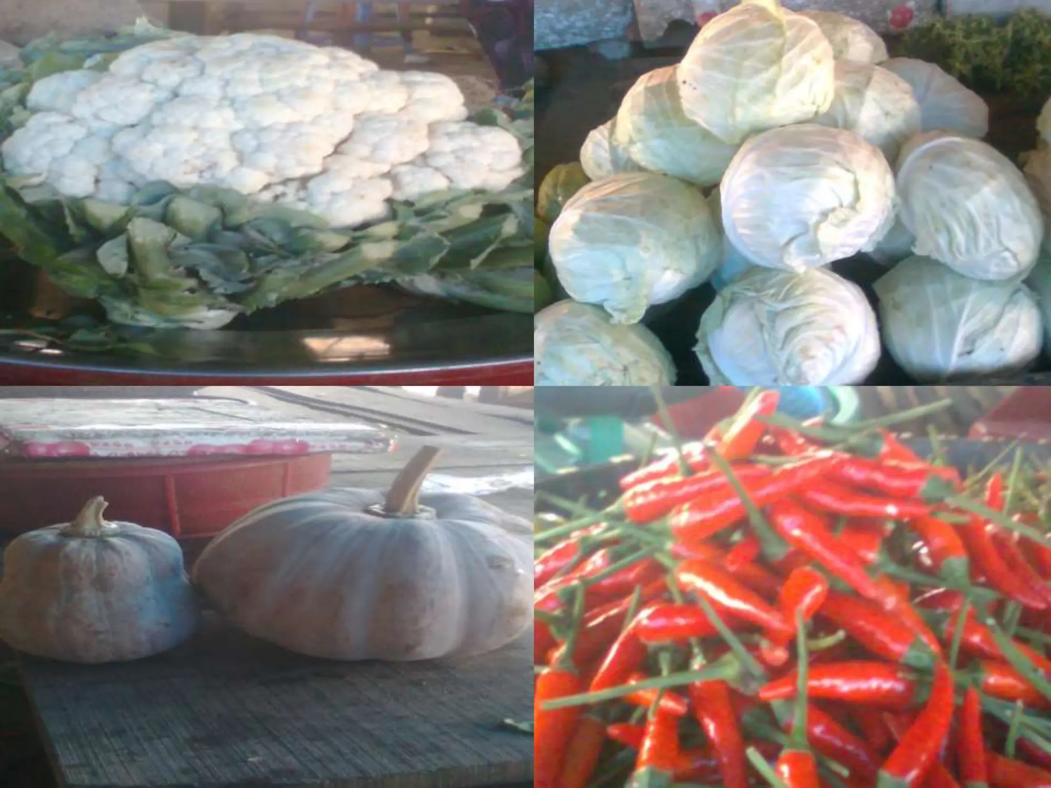 bai-thuyet-trinh-ve-bao-ve-moi-truong.ppt