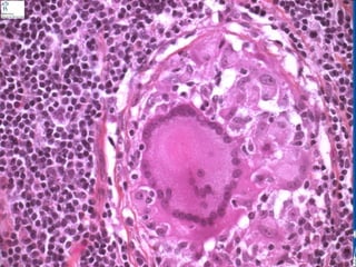 thực hành GPB 1 (HPMU) | PPT