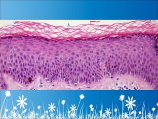 thực hành GPB 1 (HPMU) | PPT