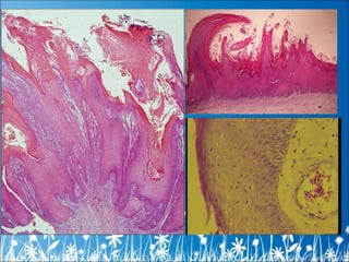 thực hành GPB 1 (HPMU) | PPT