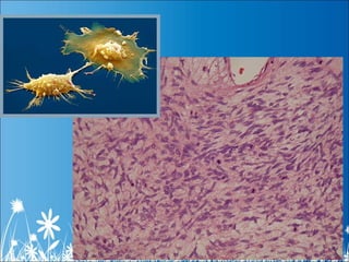 thực hành GPB 1 (HPMU) | PPT