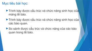 Bai 1. Mang te bao va te bao chat 1.pptx
