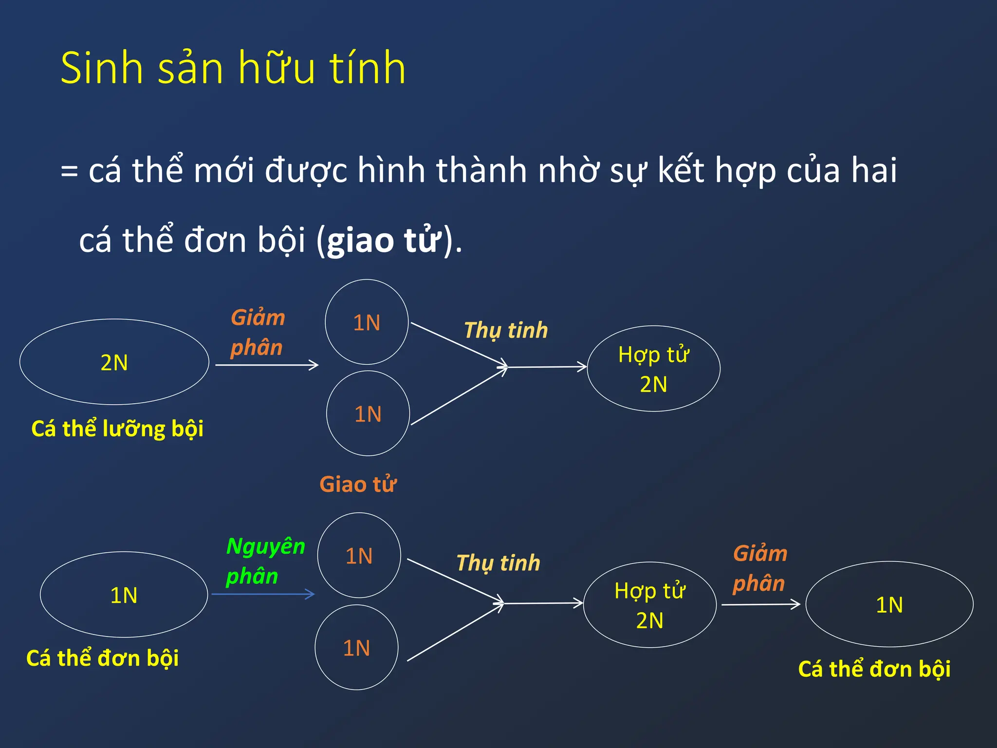 Bai 1. Gioi thieu hoc phan dong vat hoc co xuong song va ung dung.pdf