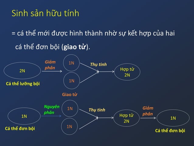 Bai 1. Gioi thieu hoc phan dong vat hoc co xuong song va ung dung.pdf