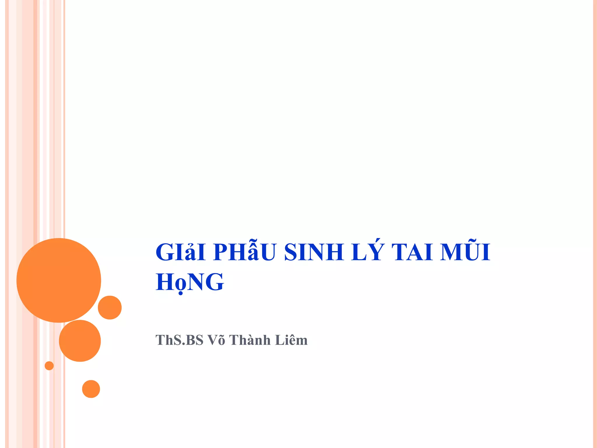 Tai mui hong | PPT