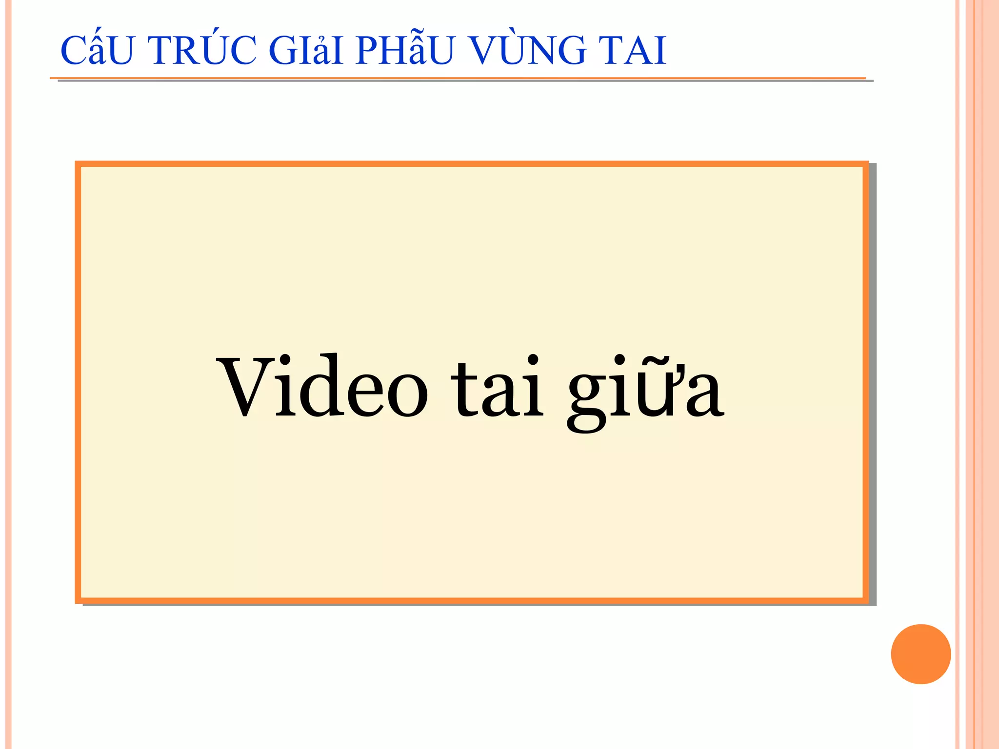 Tai mui hong | PPT