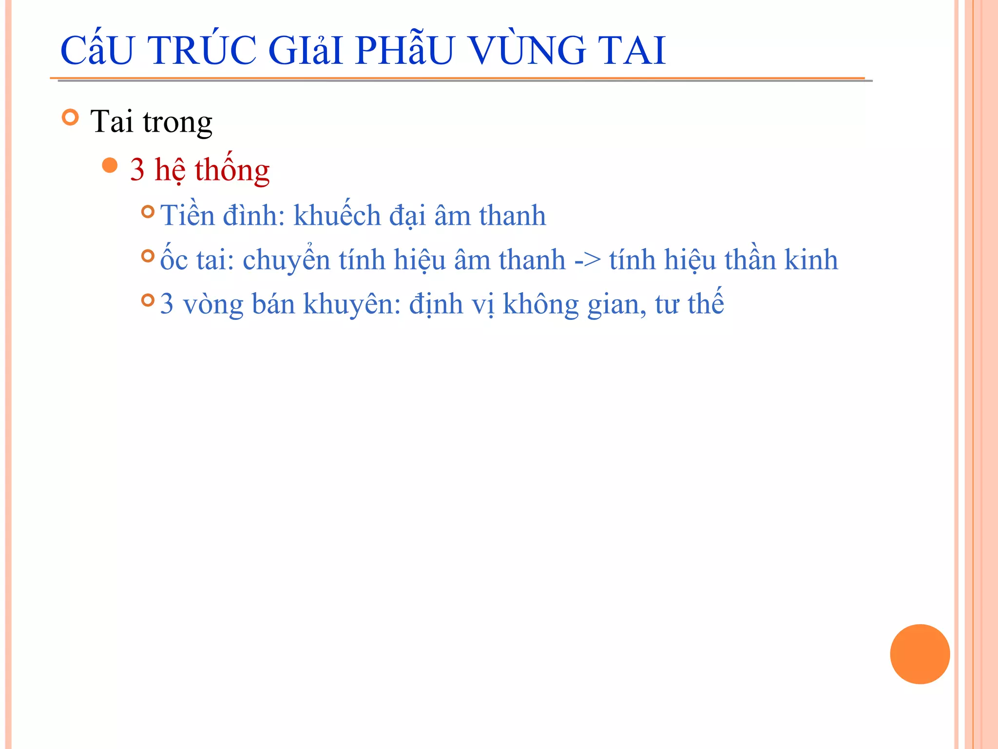 Tai mui hong | PPT