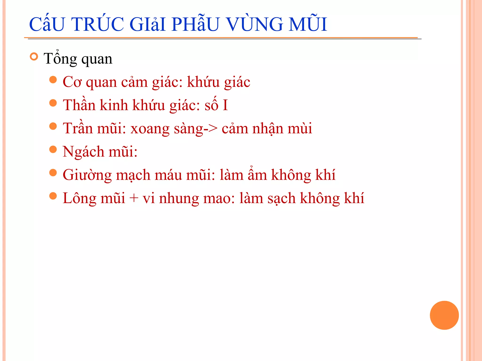 Tai mui hong | PPT