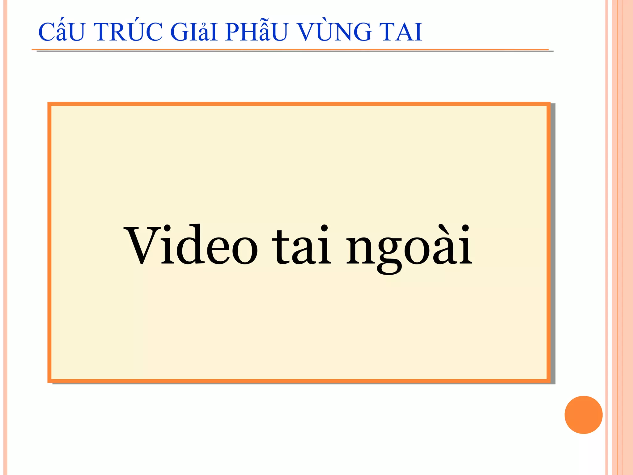 Tai mui hong | PPT