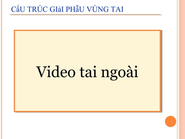 Tai mui hong | PPT
