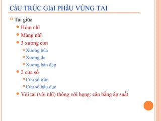Tai mui hong | PPT