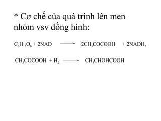 Bai 18 sản xuất acid lactic | PPT