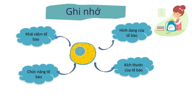 Bai 18_Tế bào cell is basic component of life i.pptx