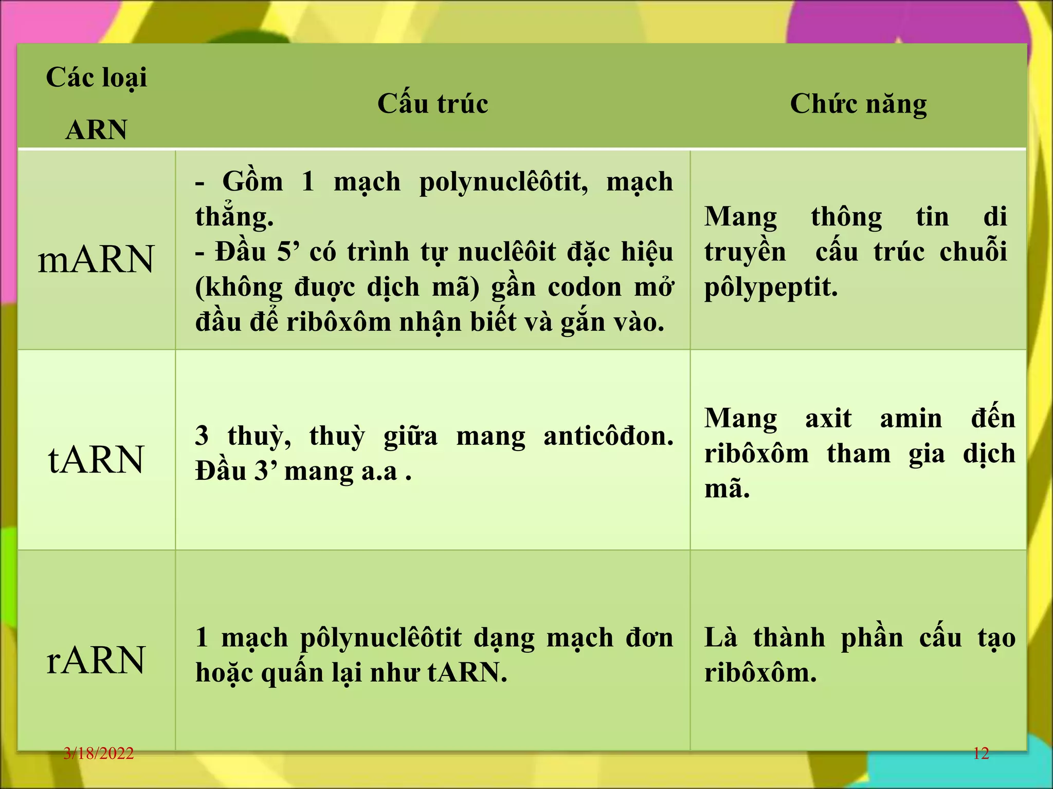 BÀI 2: PHIÊN MÃ VÀ DỊCH MÃ | PPT