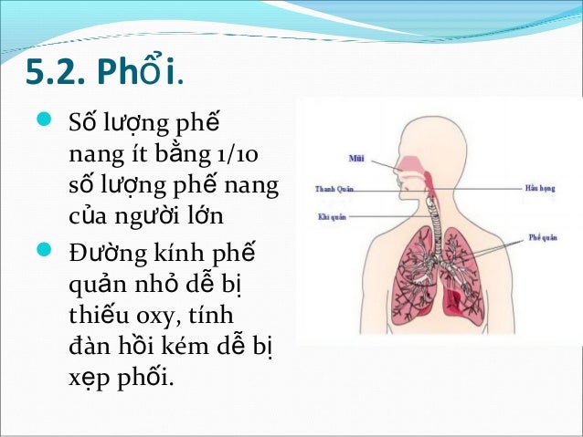 Bai 2. đặc điểm giải phẩu và sinh lý trẻ em