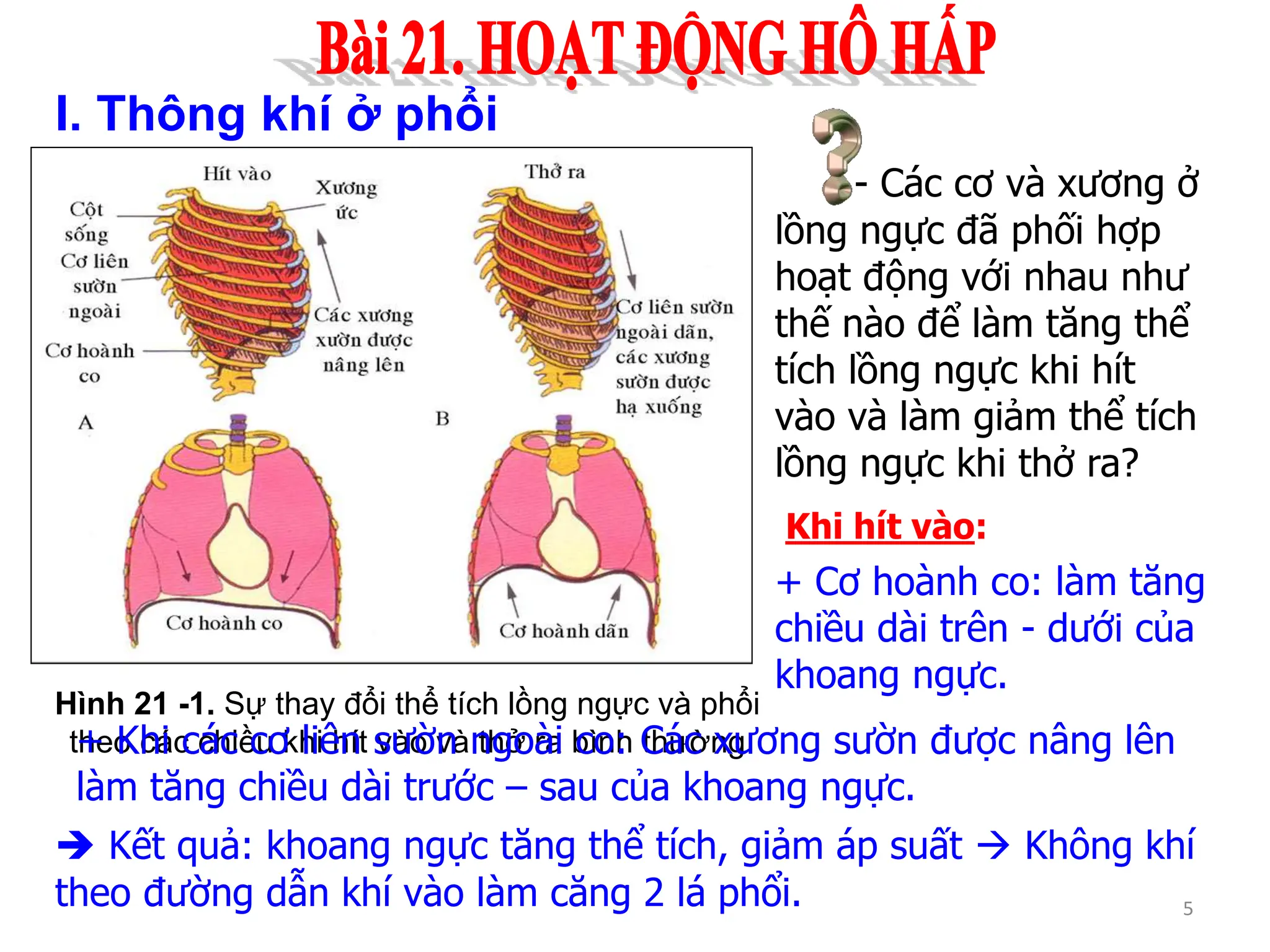 bai_21_hoat_dong_ho_hap_261201810.ppt