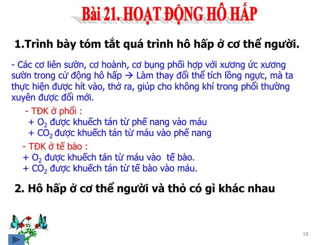 bai_21_hoat_dong_ho_hap_261201810.ppt