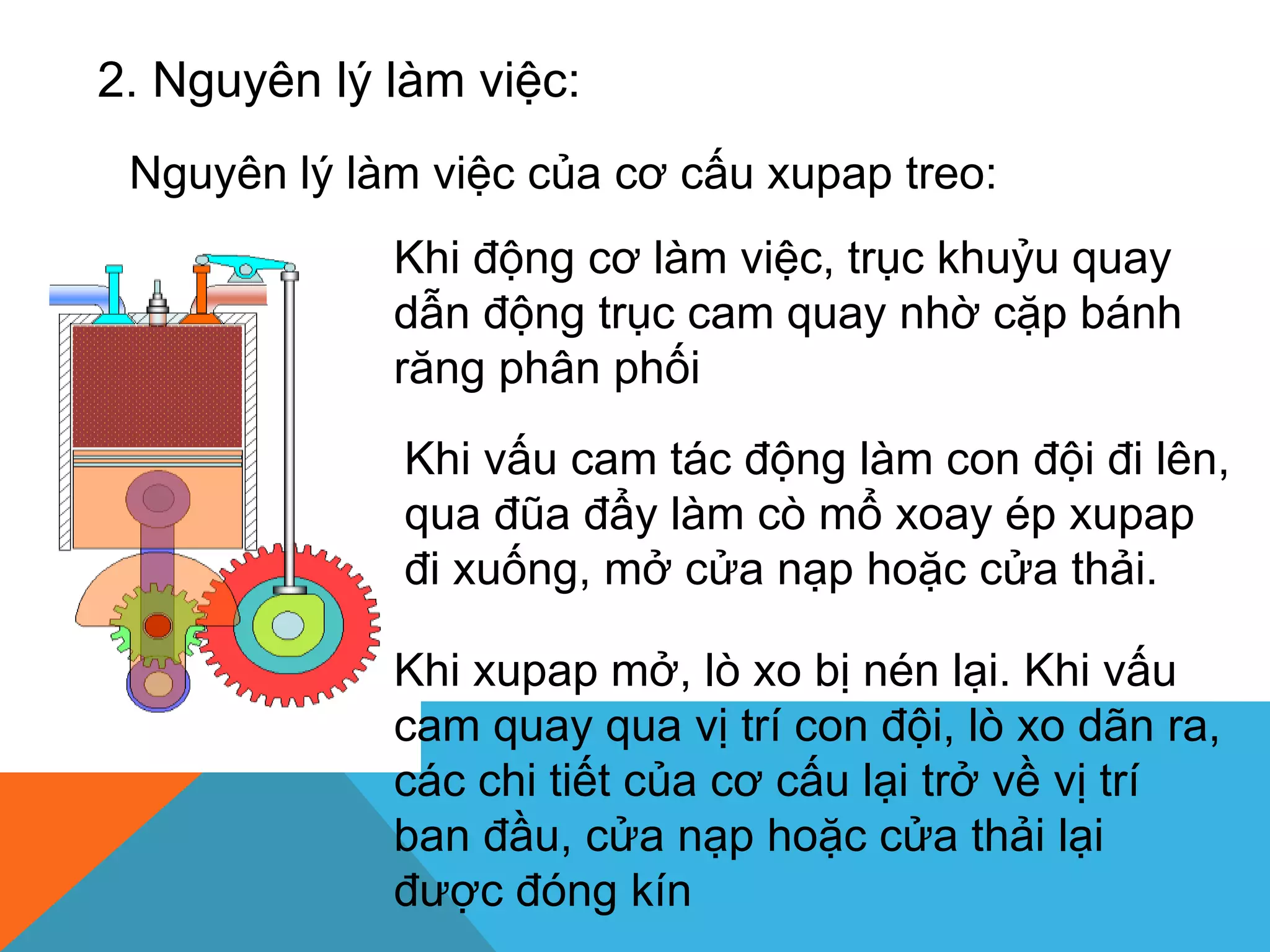 Bai 24 Co cau phan phoi khi (1).ppt