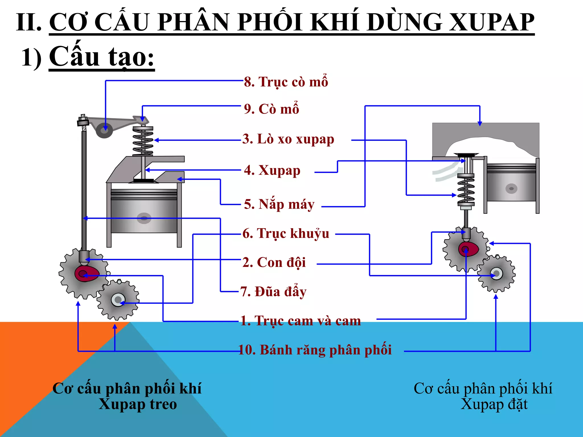 Bai 24 Co cau phan phoi khi (1).ppt