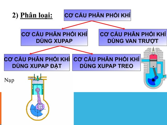 Bai 24 Co cau phan phoi khi (1).ppt
