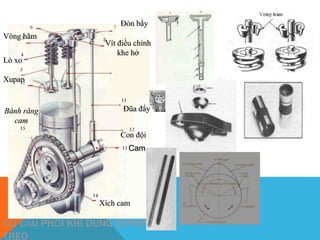 Bai 24 Co cau phan phoi khi (1).ppt