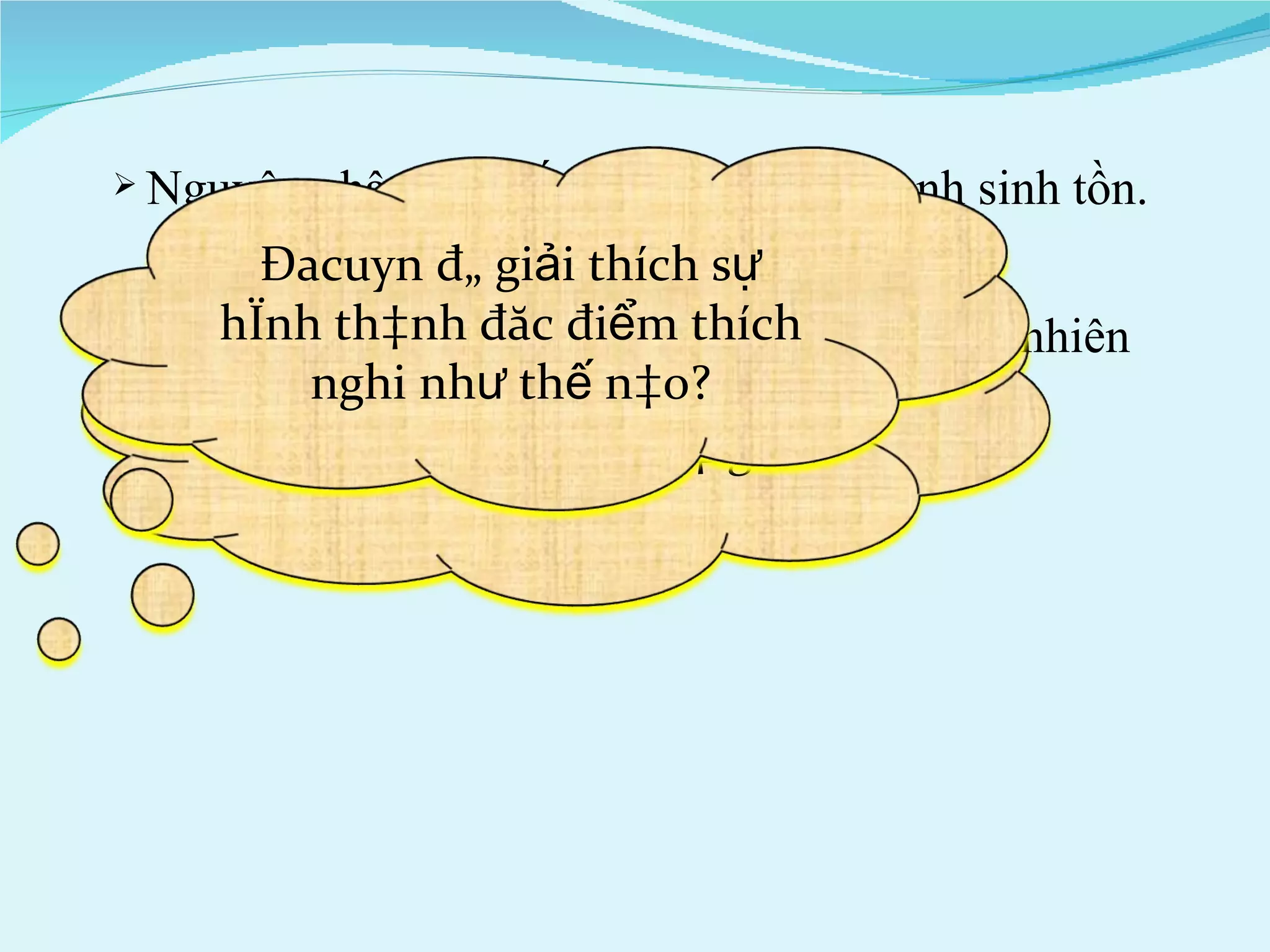 Bai 25hoc thuyet dacuyn giam tai | PPT