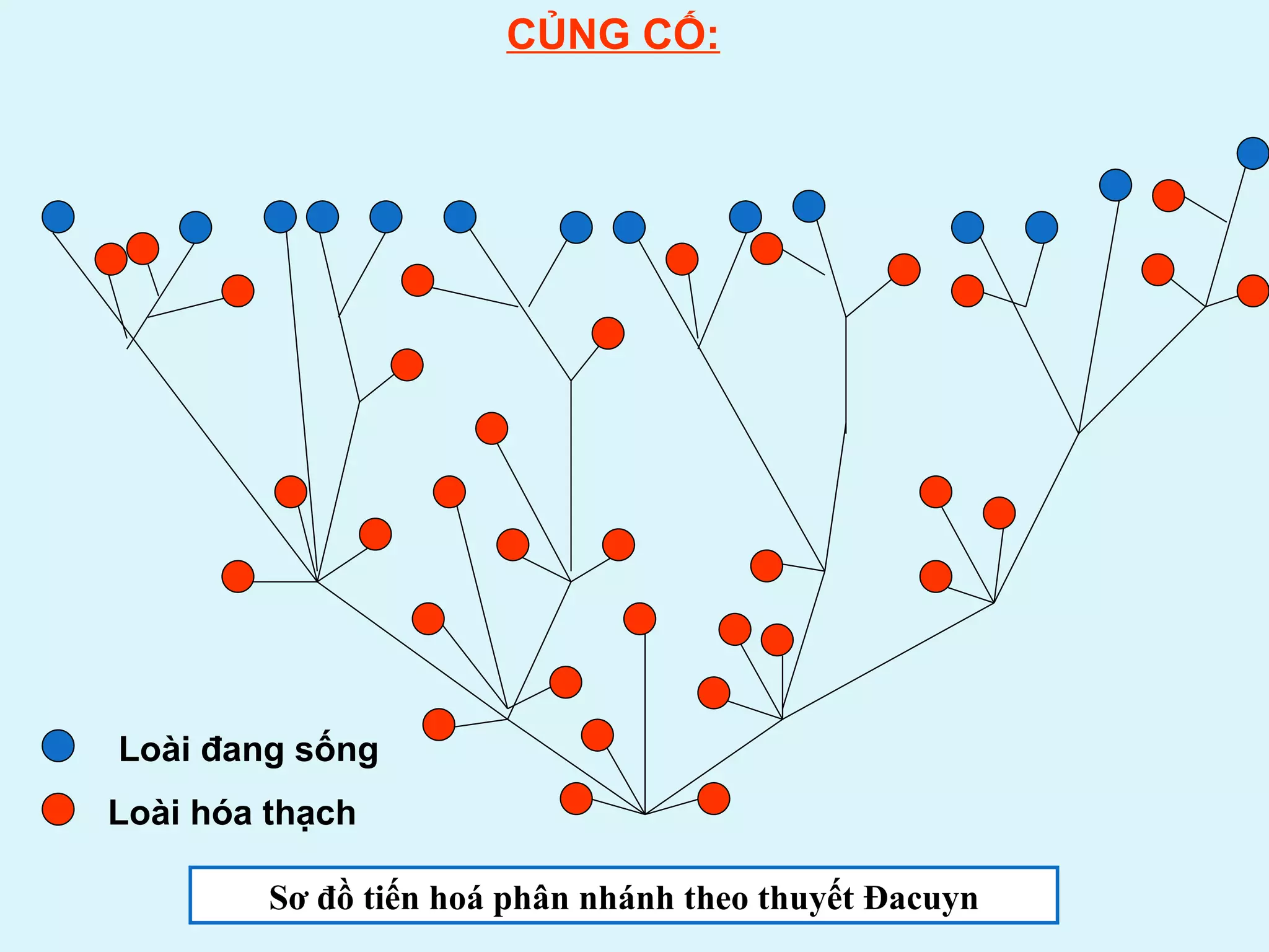 Bai 25hoc thuyet dacuyn giam tai | PPT