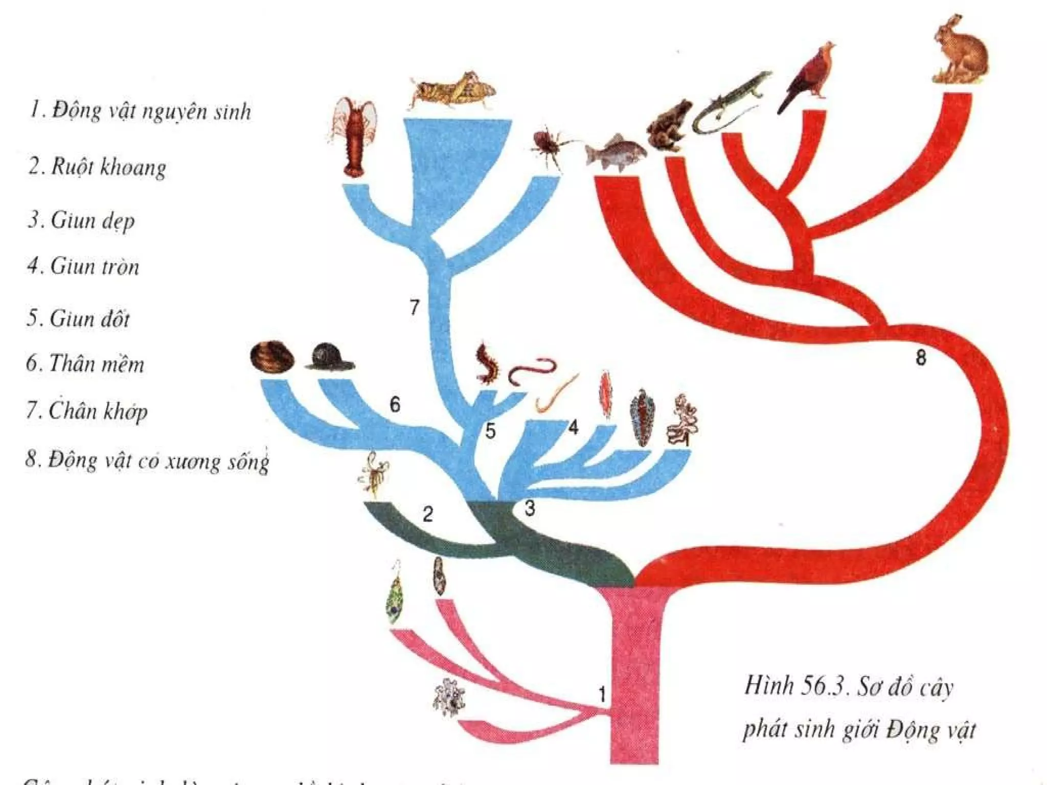 Bai 25hoc thuyet dacuyn giam tai | PPT