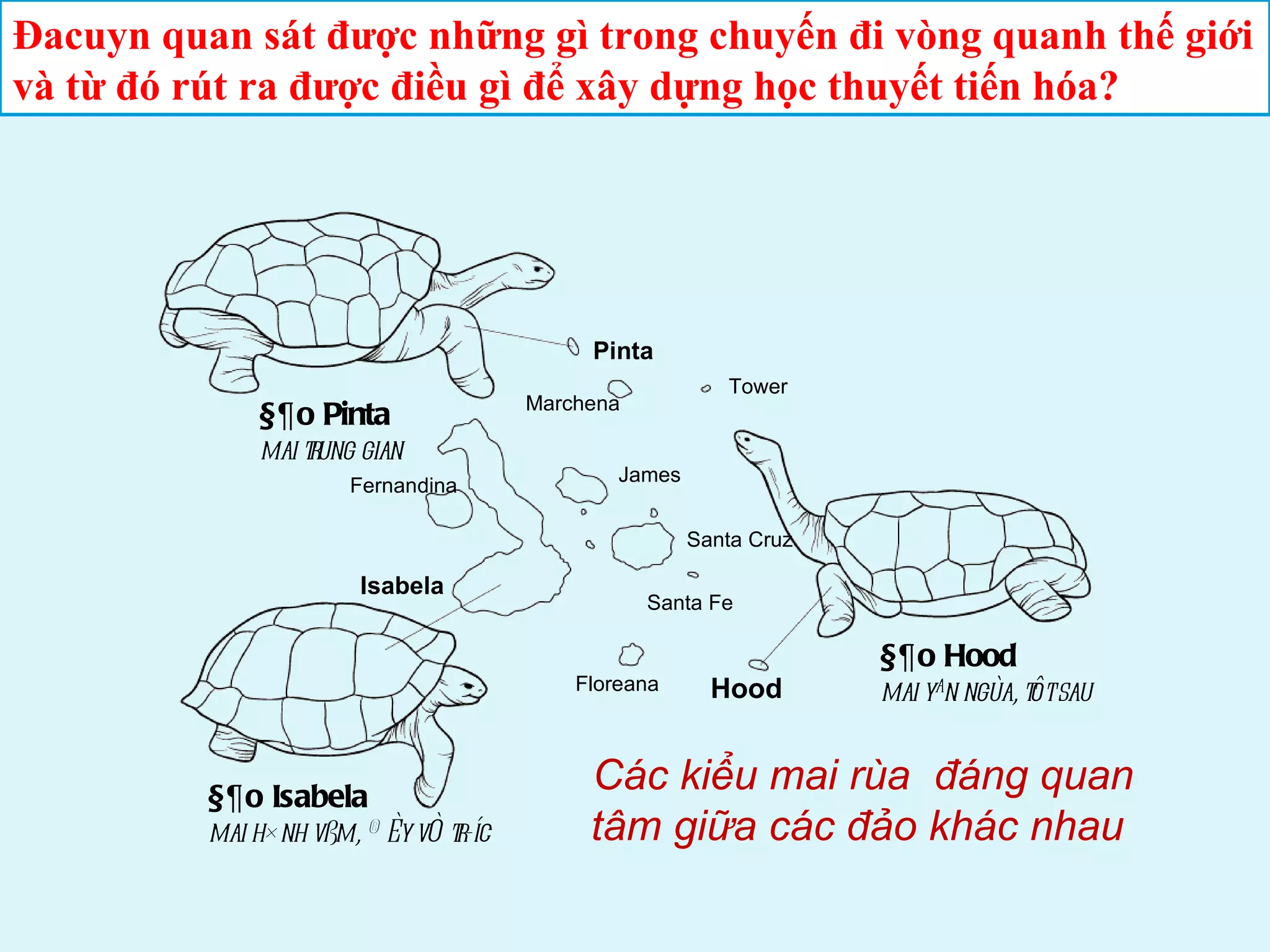 Bai 25hoc thuyet dacuyn giam tai | PPT