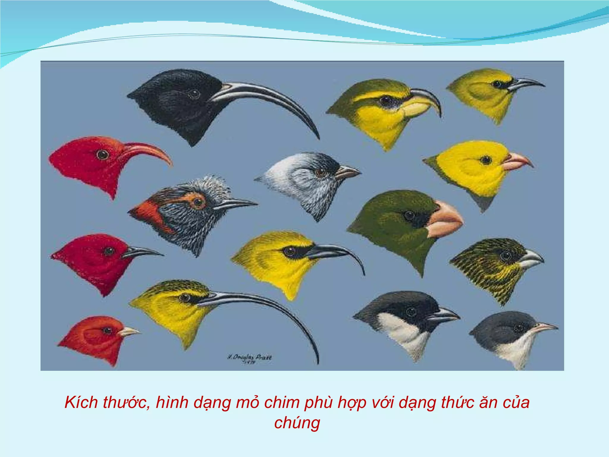 Bai 25hoc thuyet dacuyn giam tai | PPT