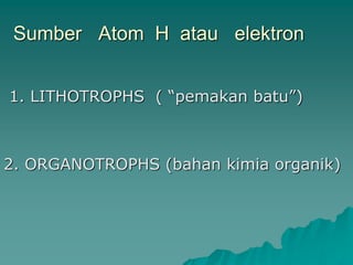 nutrisi_mikrobia-nutrisi_mikrobia---.ppt