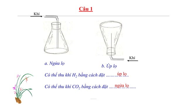 BAI 3. MOL VA TI KHOI CHAT KHI.pptx
