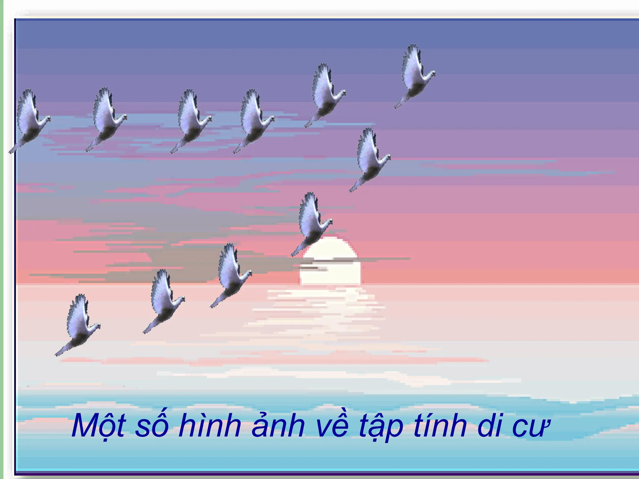 bai 33 Thuc hanh Xem tap tinh cua dong vat.ppt