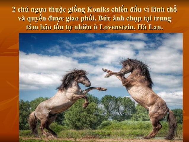 bai 33 Thuc hanh Xem tap tinh cua dong vat.ppt