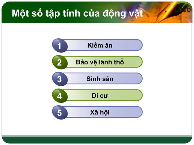 bai 33 Thuc hanh Xem tap tinh cua dong vat.ppt