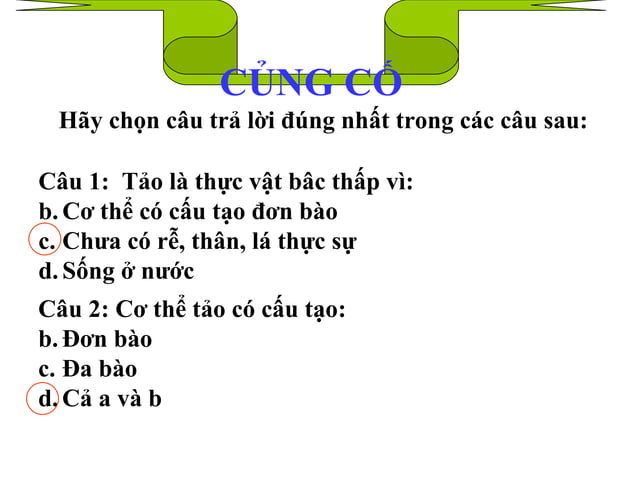 Bai 37 Tao | PPT