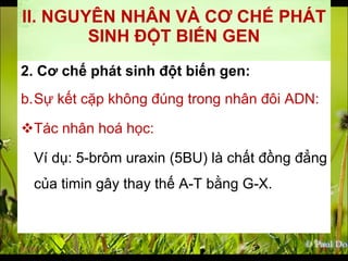 BÀI 4: ĐỘT BIẾN GEN | PPT