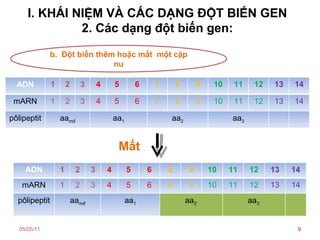 BÀI 4: ĐỘT BIẾN GEN | PPT