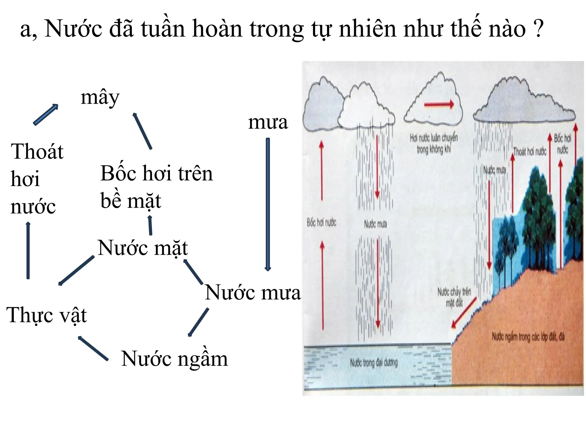 bai44 Chu trinh sinh dia hoa va sinh quyen.pptx