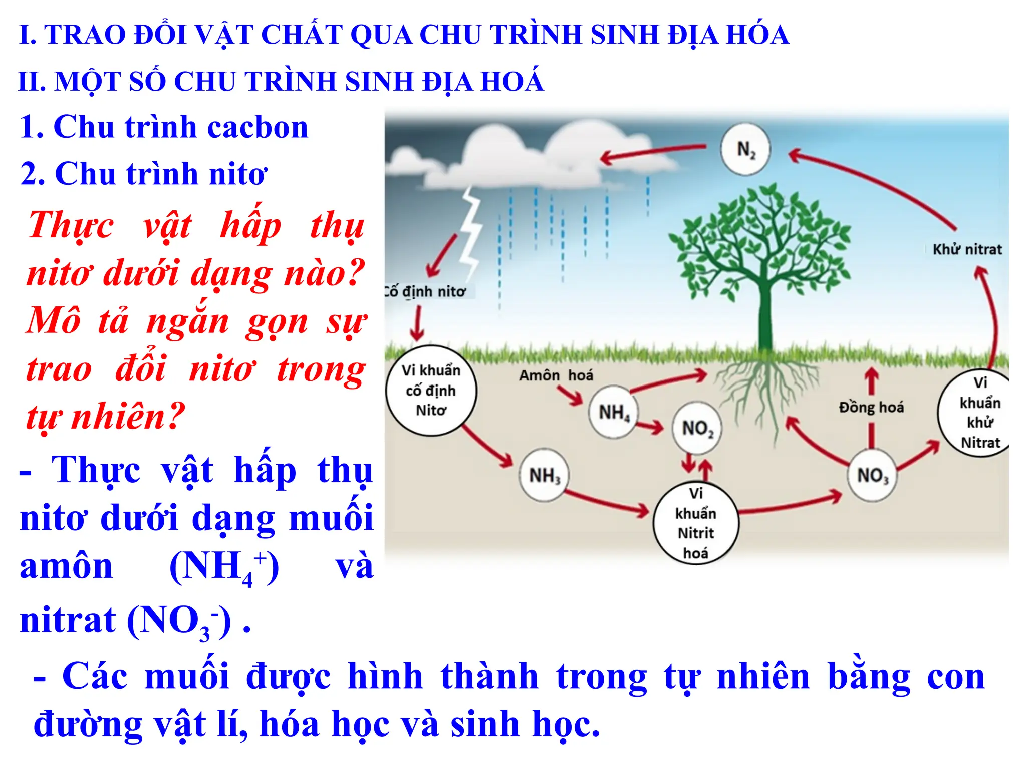 bai44 Chu trinh sinh dia hoa va sinh quyen.pptx